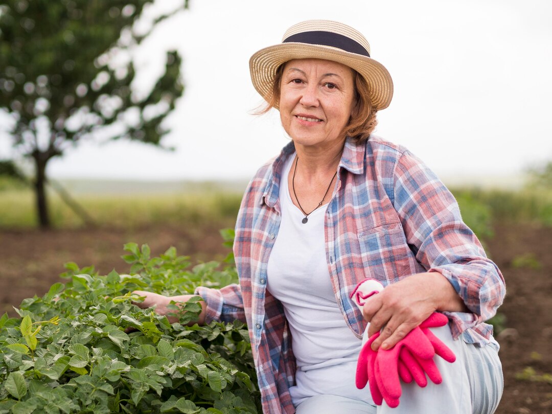 Huerto casero: Un aliado para el bienestar de los Baby Boomers - Oh My ...